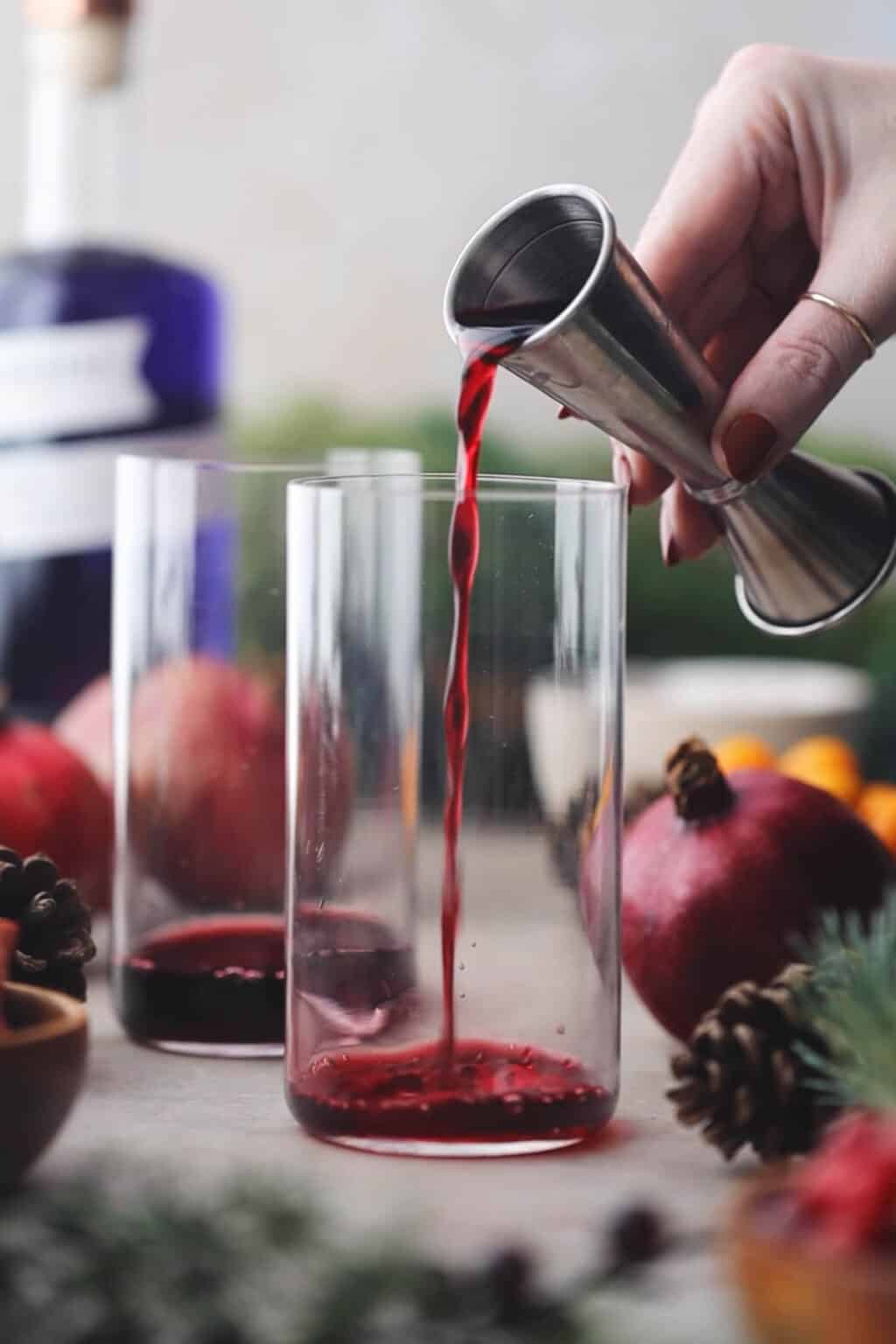 Empress Gin and Tonic with Cranberry & Pomegranate Juice - Emily Laurae