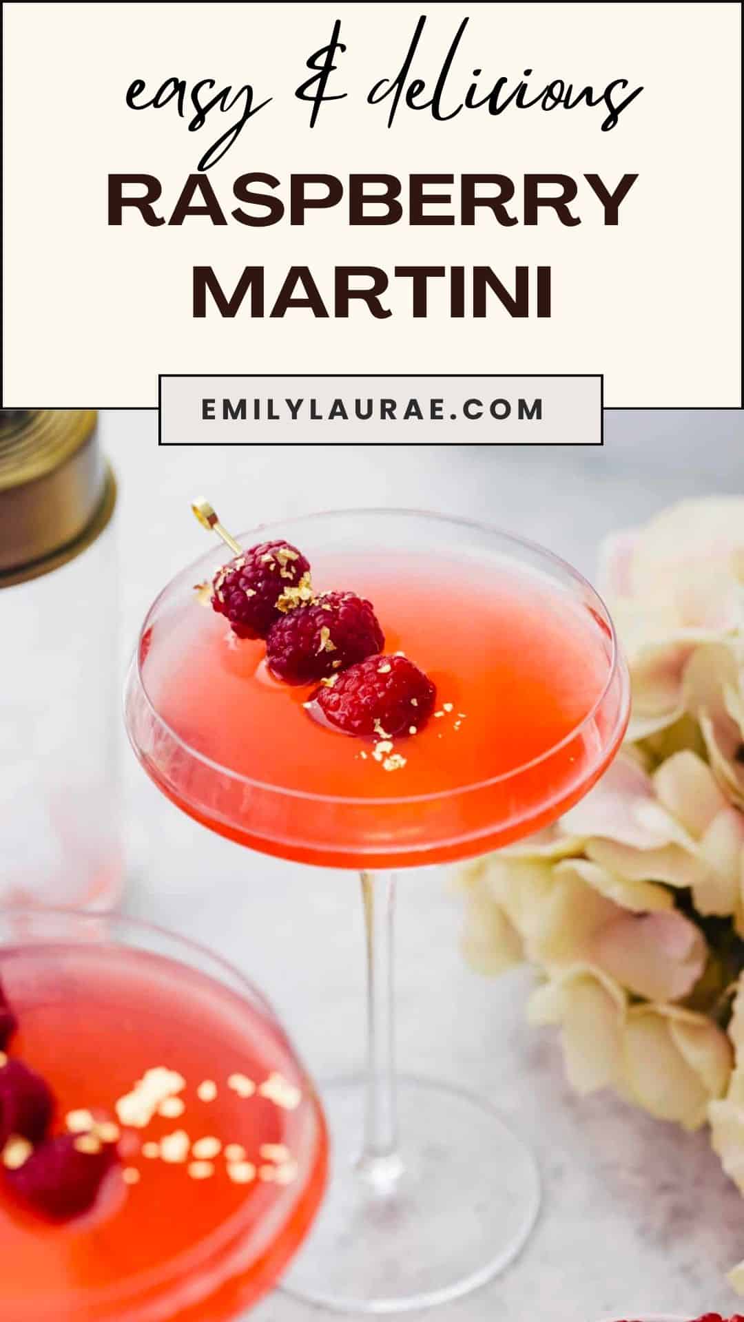 How to Make a Raspberry Martini - Emily Laurae